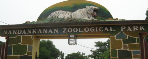 Nandankanan Zoological Park - Tours Orissa